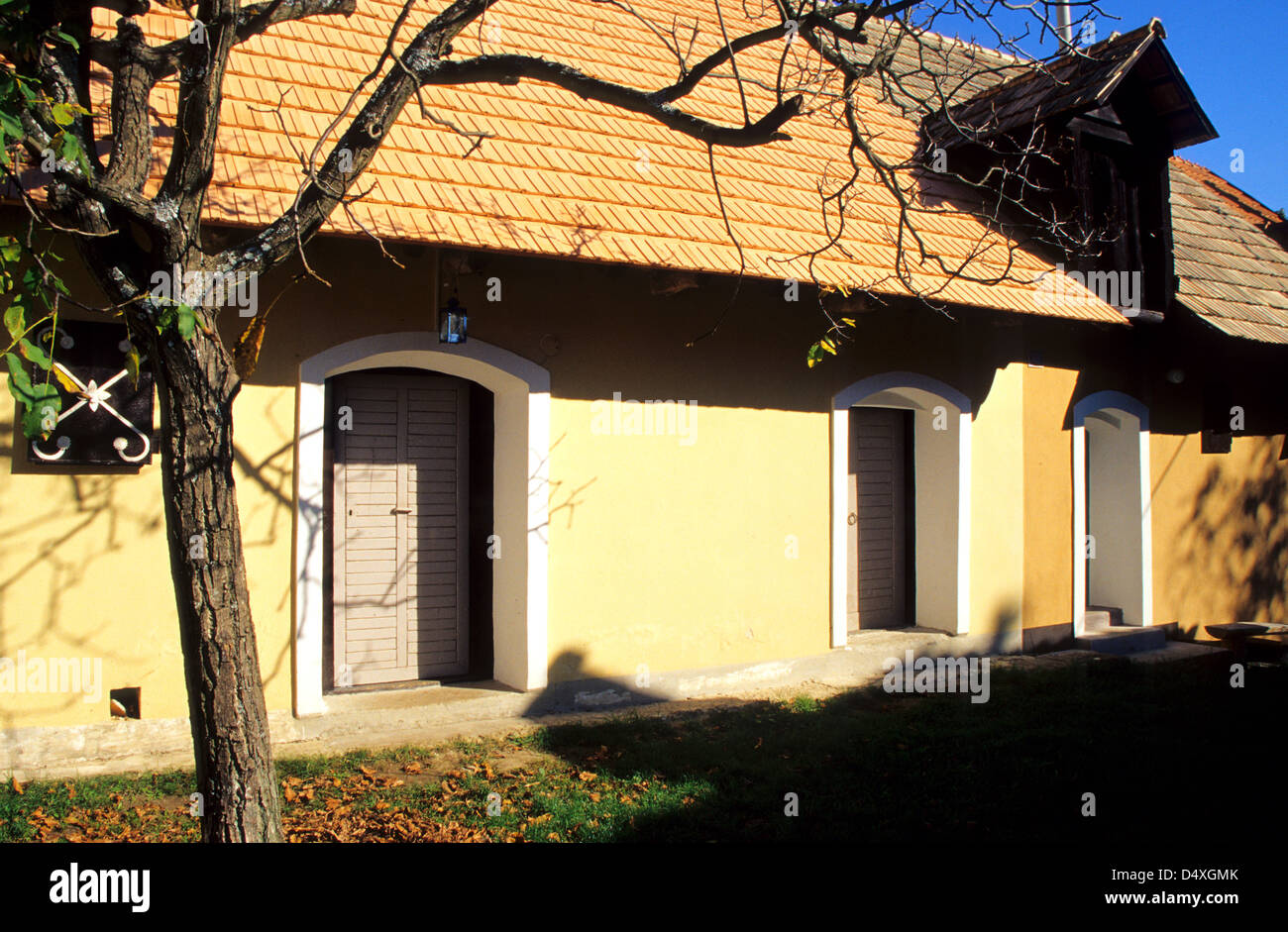 The doorway of wine cellar in Stara Hora settlement, Sebechleby ...