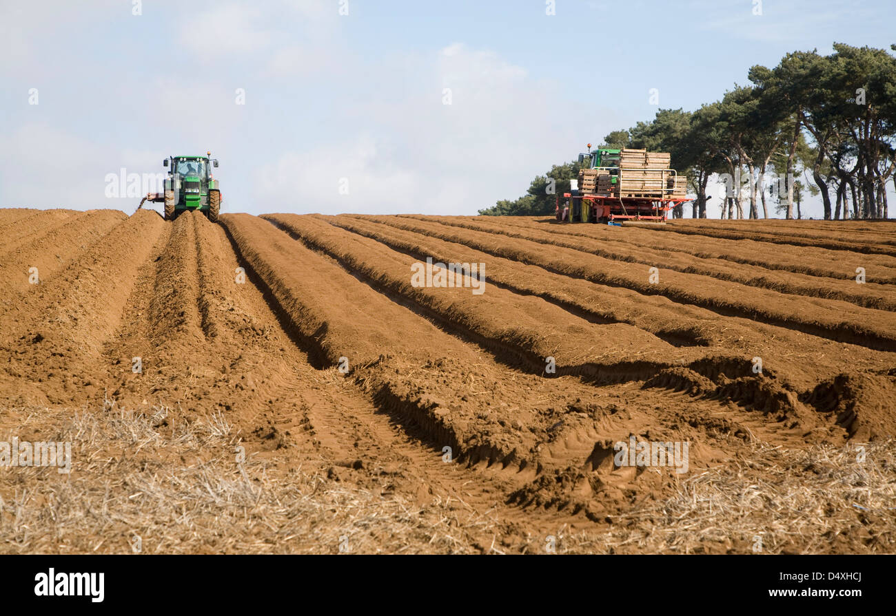Farm machinery preparing and planting a crop of potatoes in a field ...