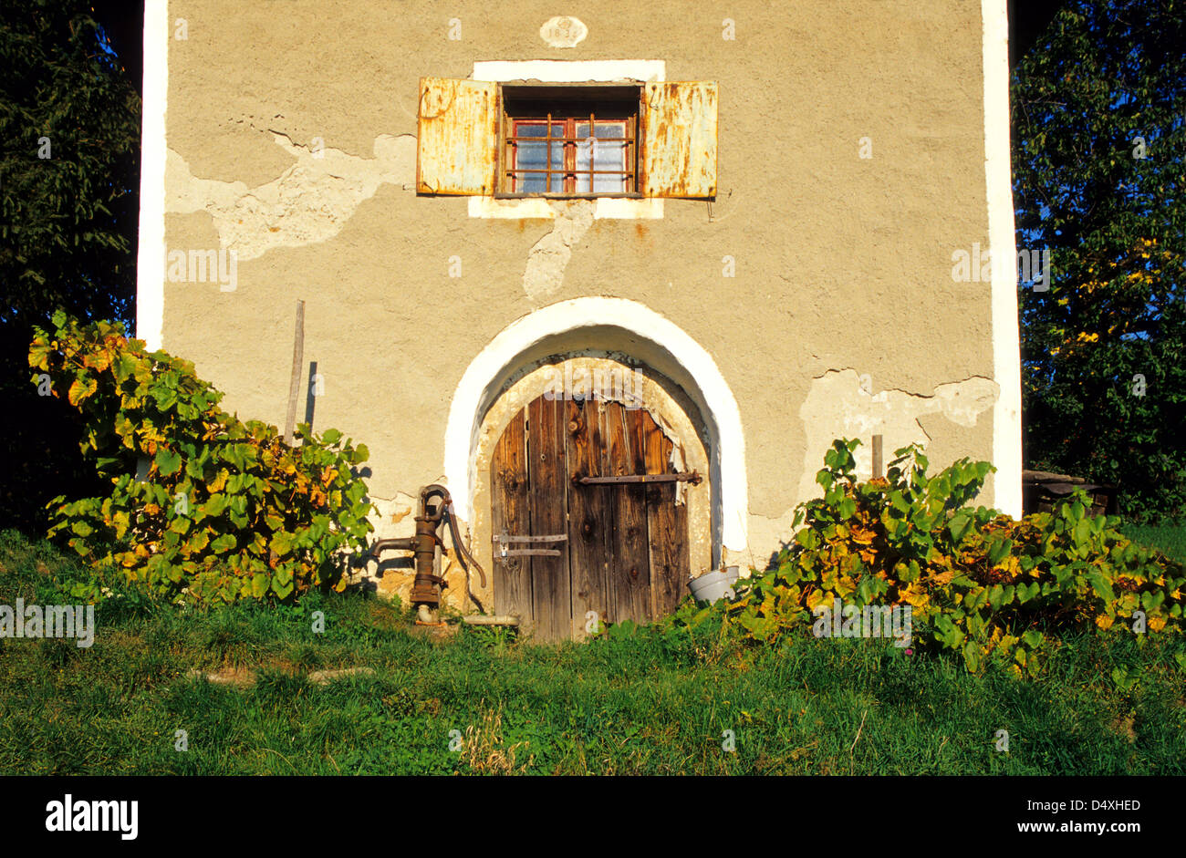 Samorodak hi-res stock photography and images - Alamy