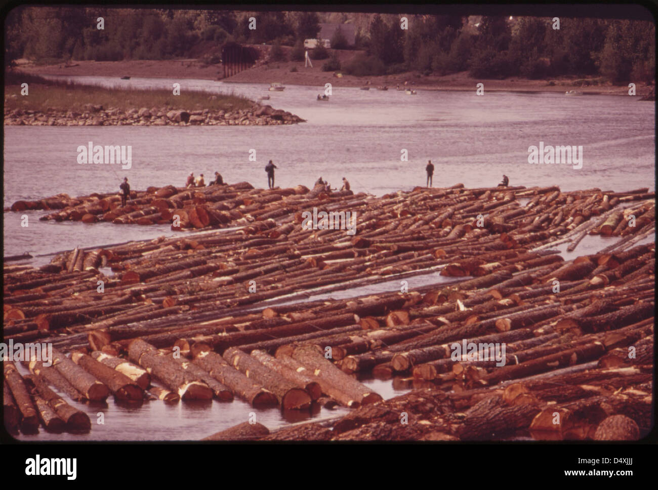 A photograph from May 1973 showing fishermen operating a commercial log ...
