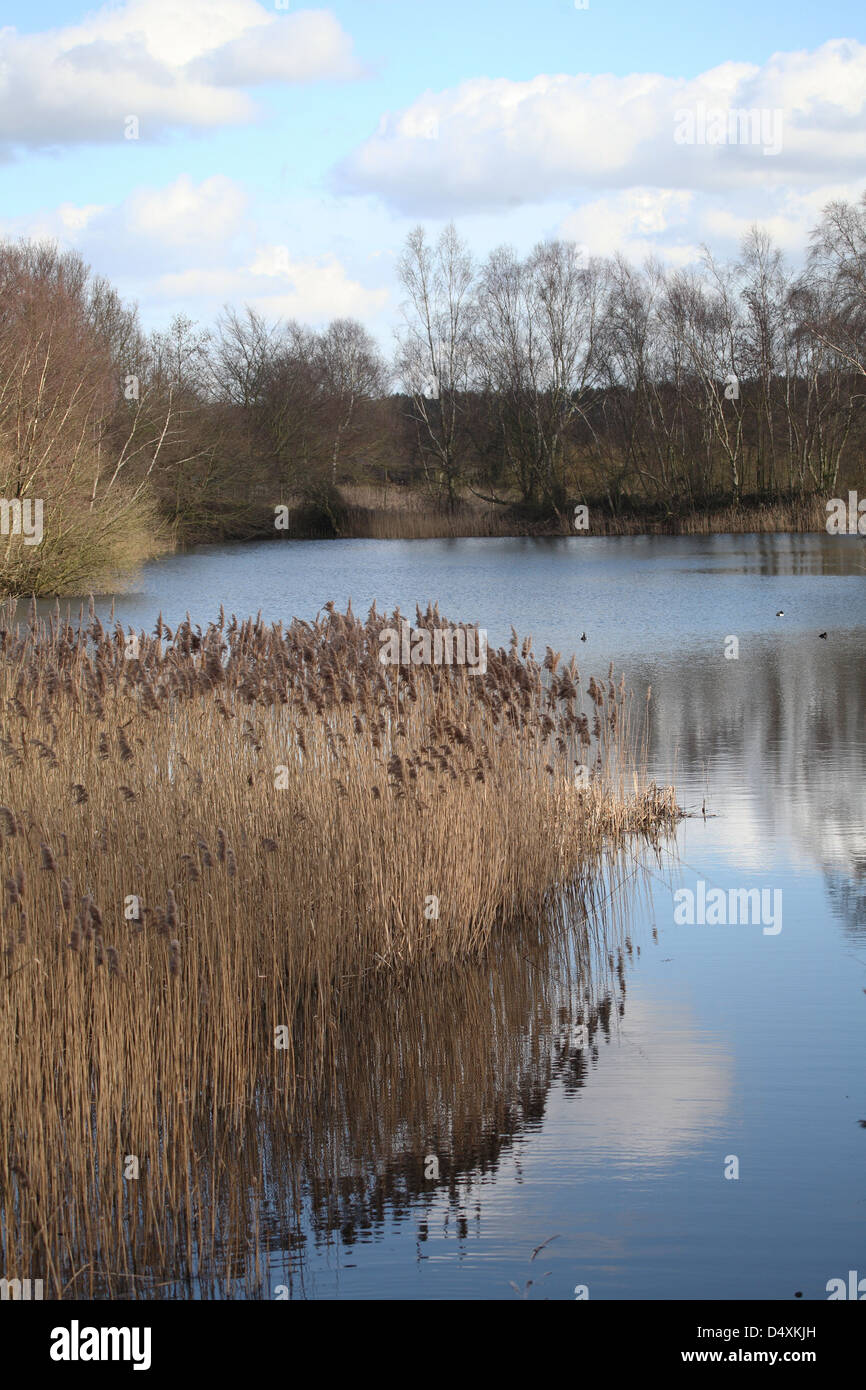 Rivers in norfolk hi-res stock photography and images - Alamy