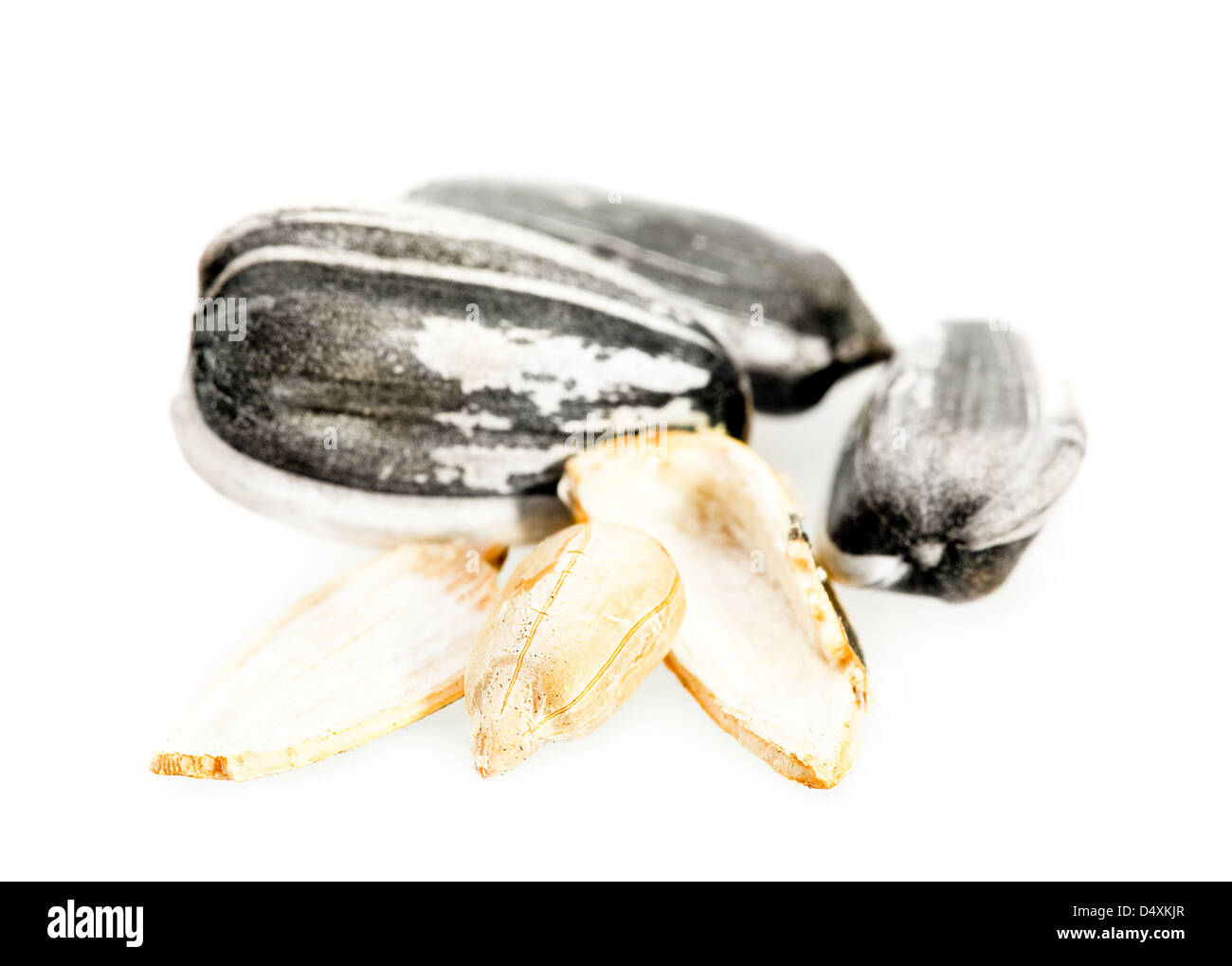 Open sunflower seed isolated on white Stock Photo - Alamy
