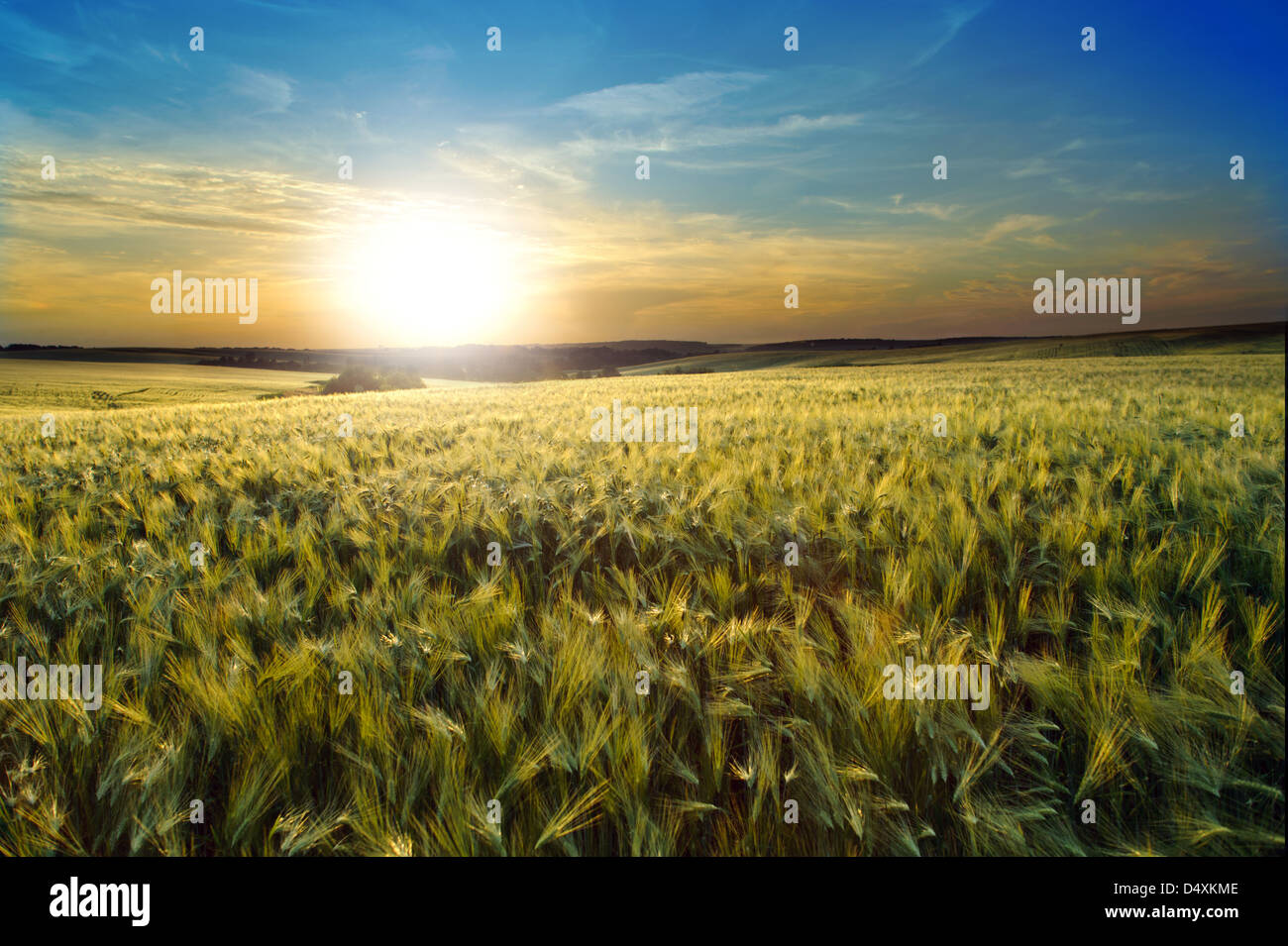 An image of a beautiful sunset and a field Stock Photo - Alamy