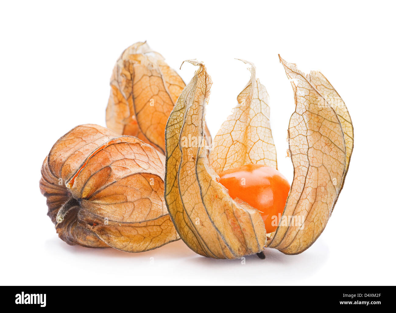 Physalis fruit closeup isolated on white Stock Photo - Alamy