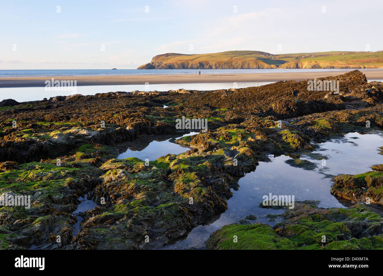Rock pools at Parrog Newport Wales Stock Photo - Alamy