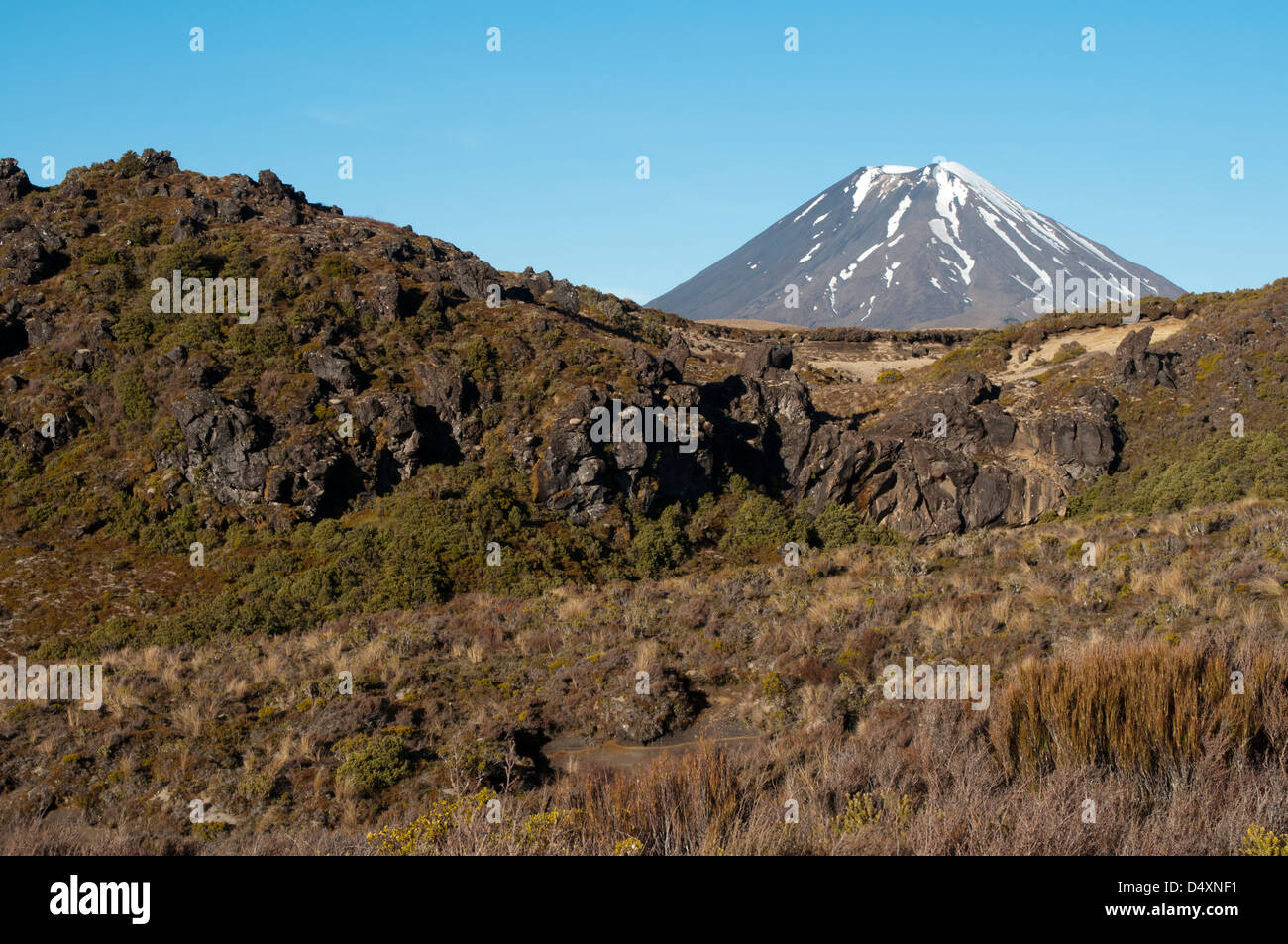 Impressive stratovolcano Ngauruhoe is the youngest of the active ...