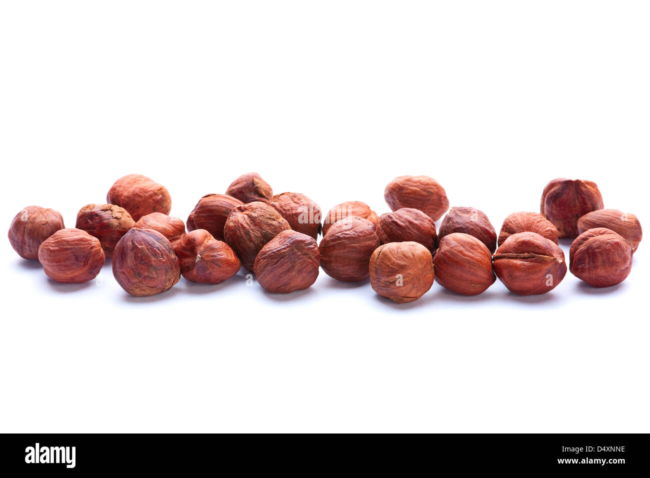 Hazelnut nut closeup isolated on white Stock Photo - Alamy