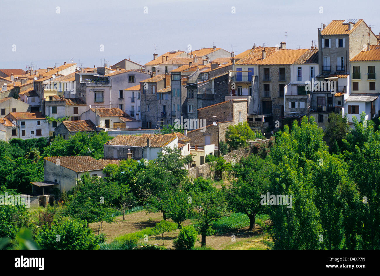 Landscape and houses at ceret hi-res stock photography and images - Alamy