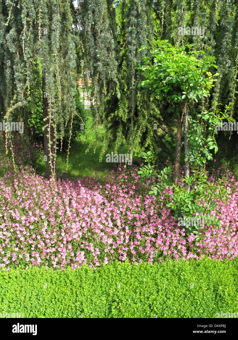 Flowers with trees hi-res stock photography and images - Alamy