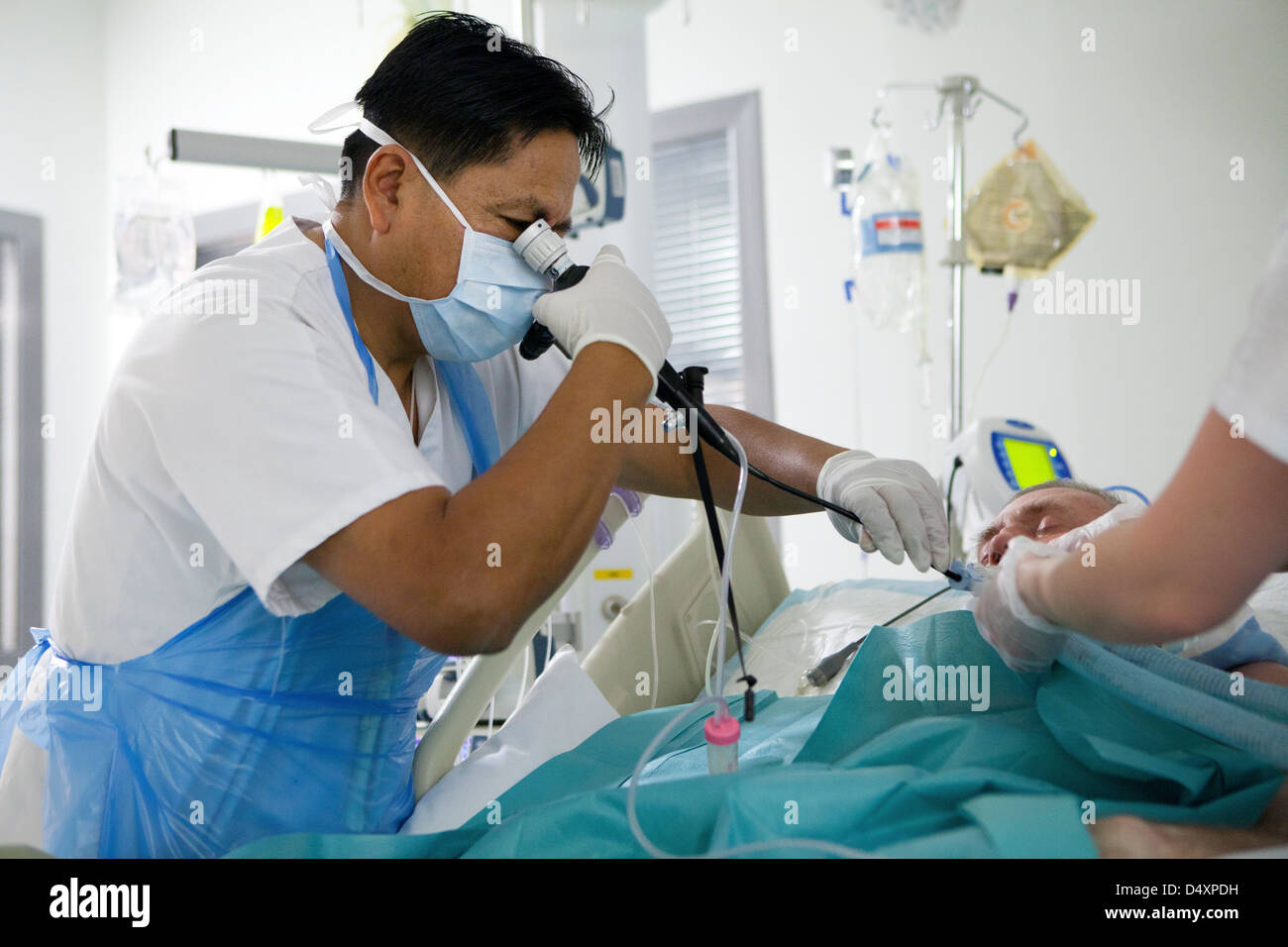 Fibroscopy hi-res stock photography and images - Alamy