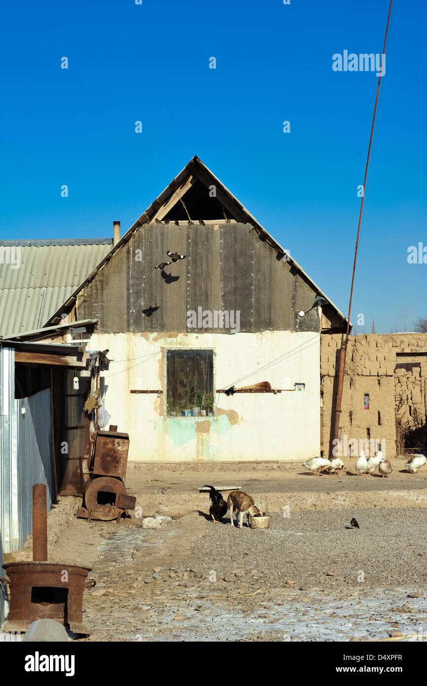 Barnyard fowl hi-res stock photography and images - Alamy