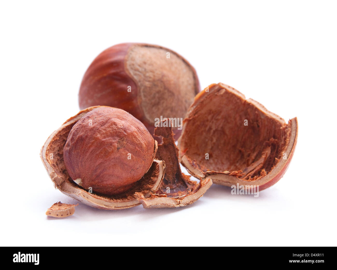 Split nut Cut Out Stock Images & Pictures - Alamy