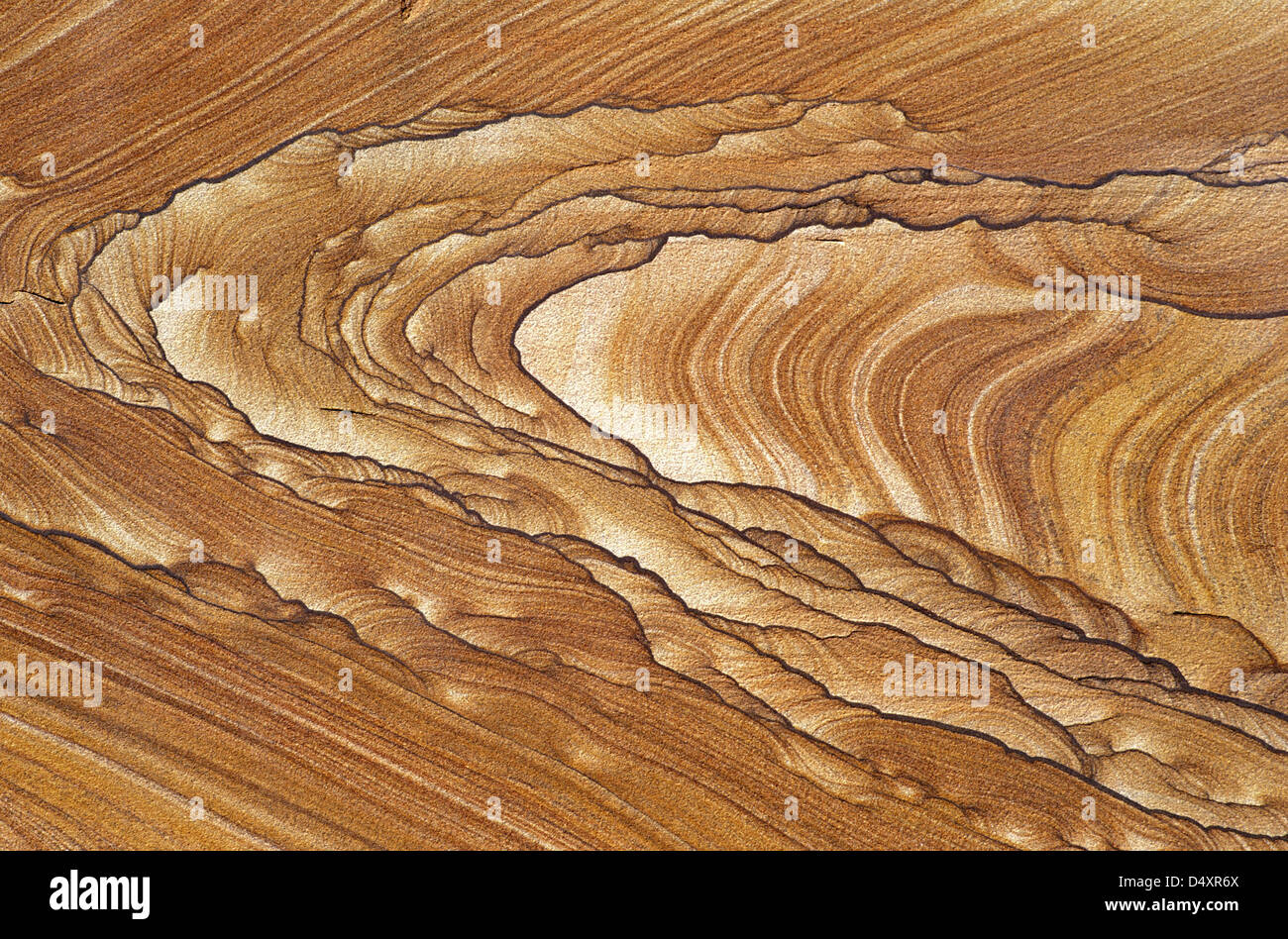 Detail kanab wonderstone sandstone hi-res stock photography and images ...