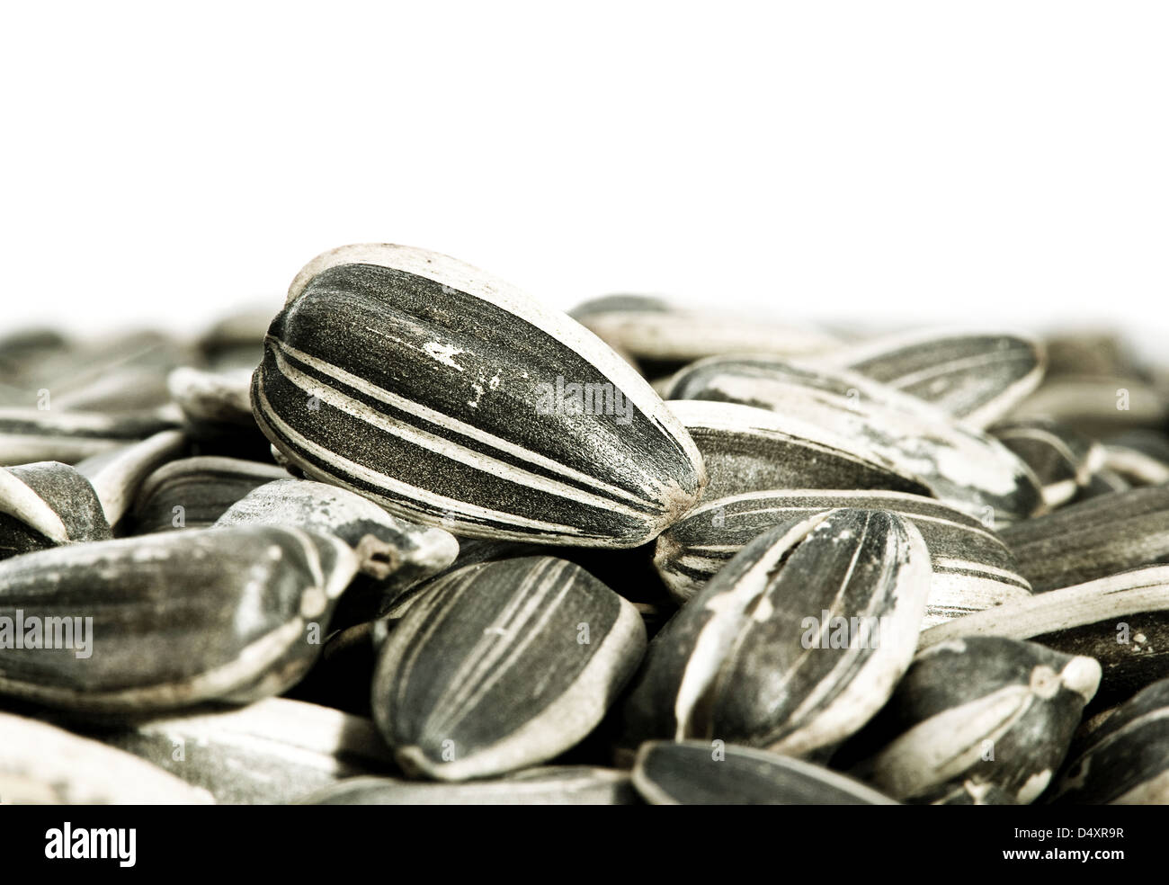Sunflower seed closeup detail view Stock Photo - Alamy