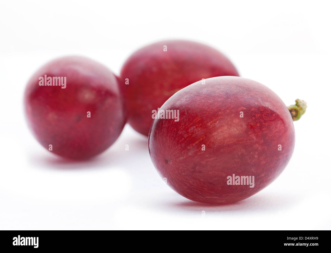 Grape berry closeup isolated on white Stock Photo - Alamy