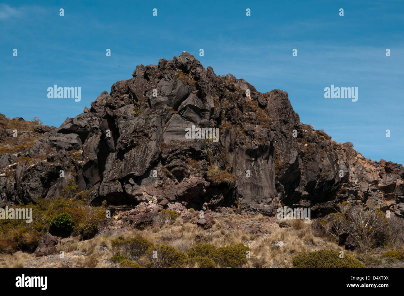 Spectacular lava structure are at the slopes of stratovolcano Ruapehu ...