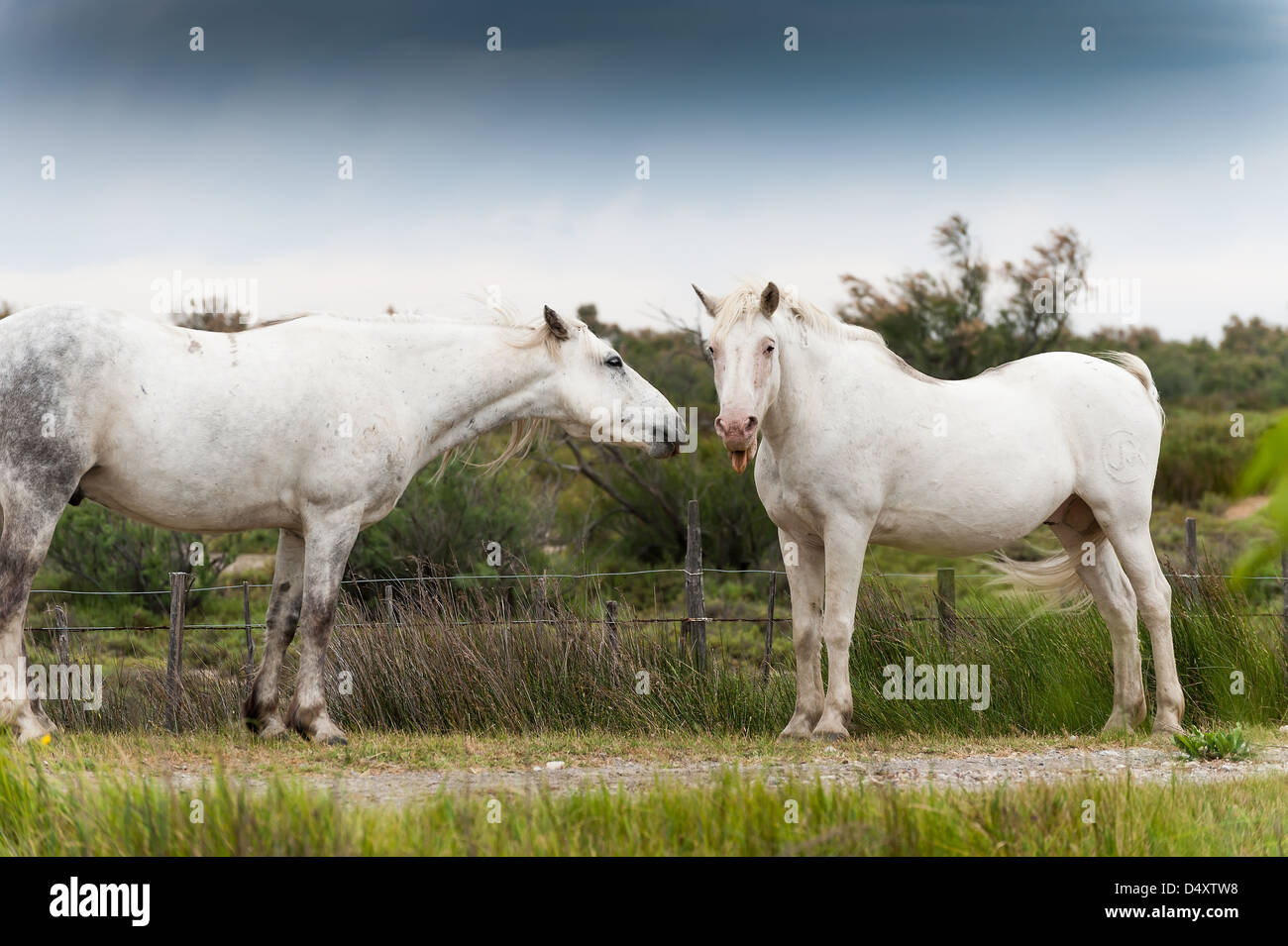 Whassup hi-res stock photography and images - Alamy