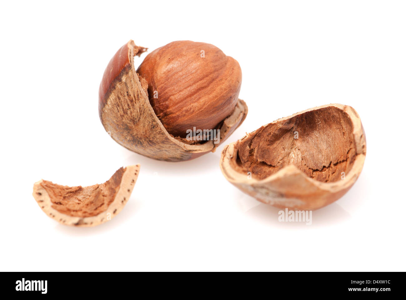 Broken hazelnut hi-res stock photography and images - Alamy