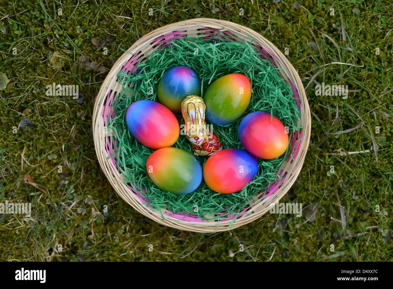 A hidden easter surprise in the garden. Photo: Frank May Stock Photo ...