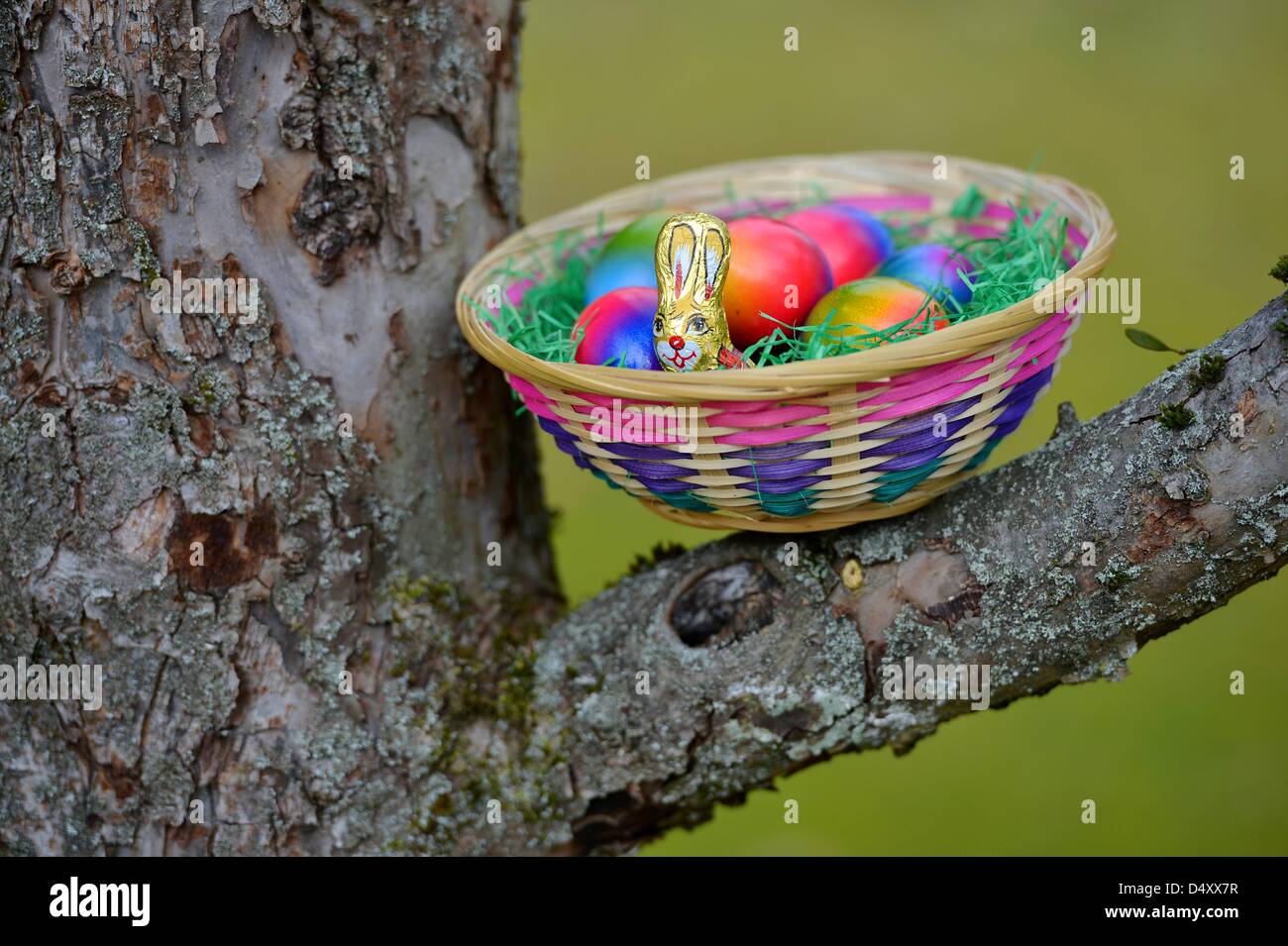 A hidden easter surprise in the garden. Photo: Frank May Stock Photo ...