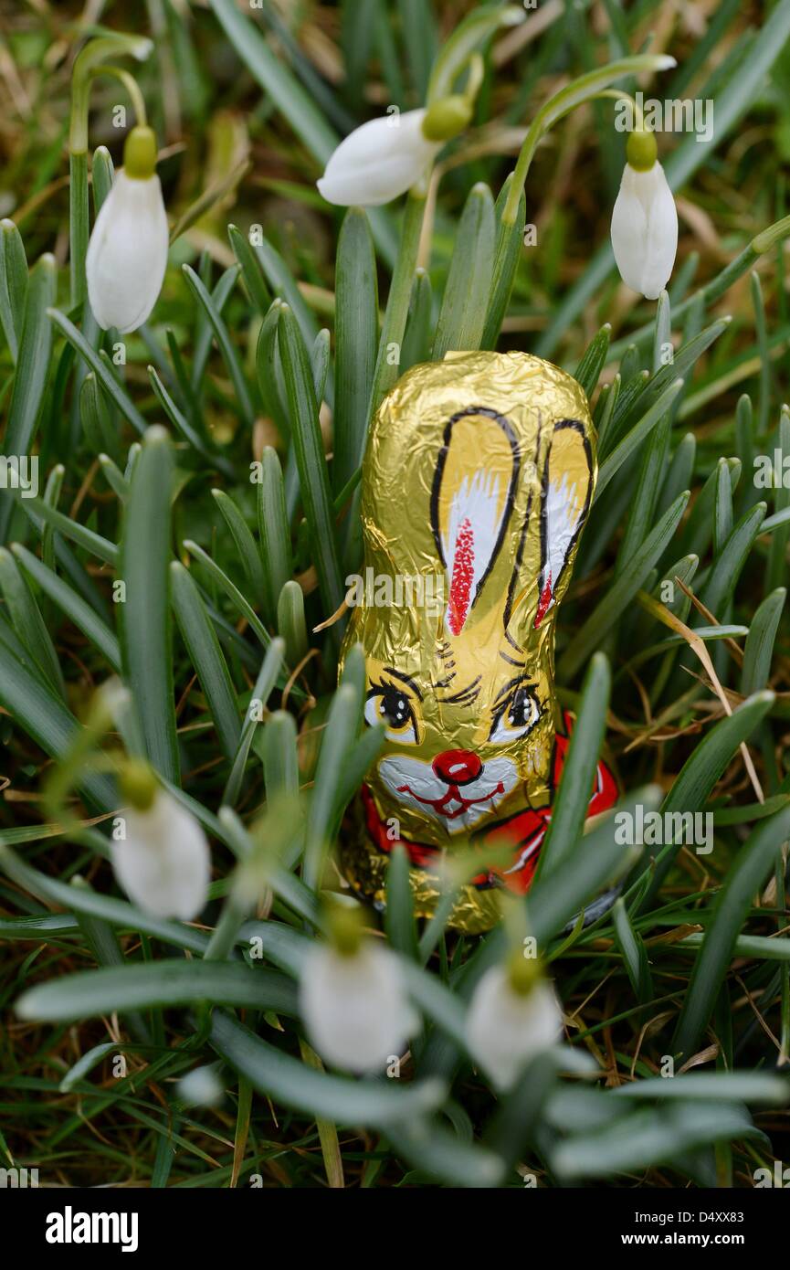 A hidden easter surprise in the garden. Photo: Frank May Stock Photo ...