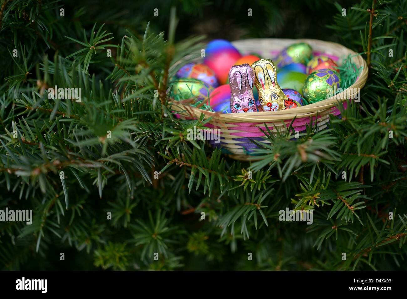 A hidden easter surprise in the garden. Photo: Frank May Stock Photo ...