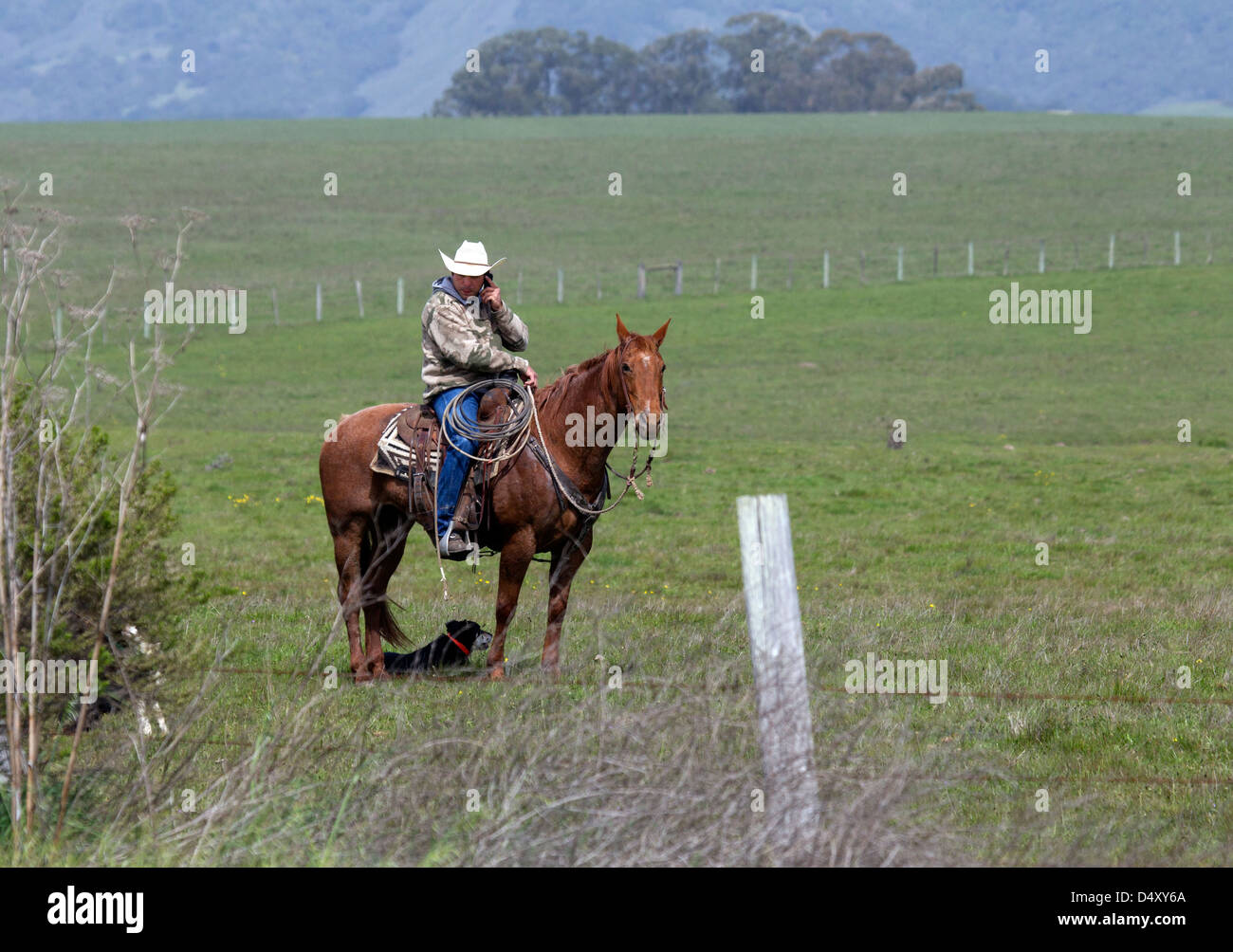 Modern Cowboy High Resolution Stock Photography and Images - Alamy