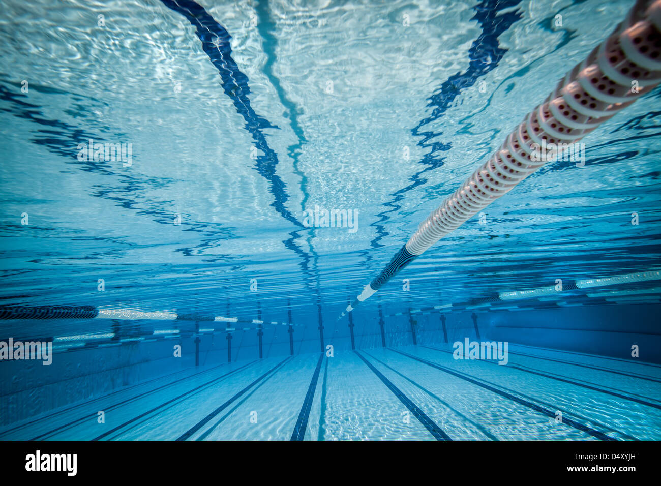 swimming pool under water Stock Photo - Alamy