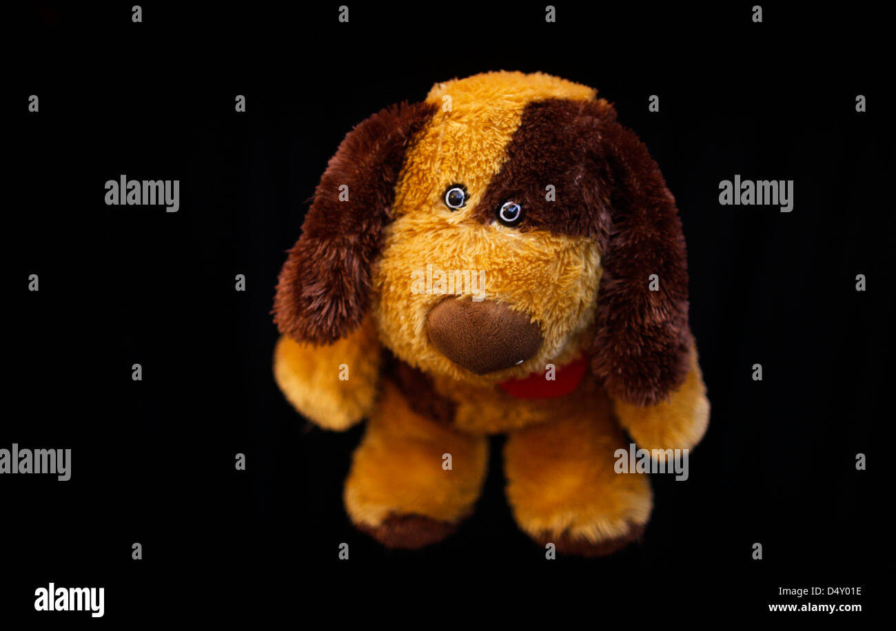 A teddy bear dog during a puppet show in Mexico City, Mexico, January ...