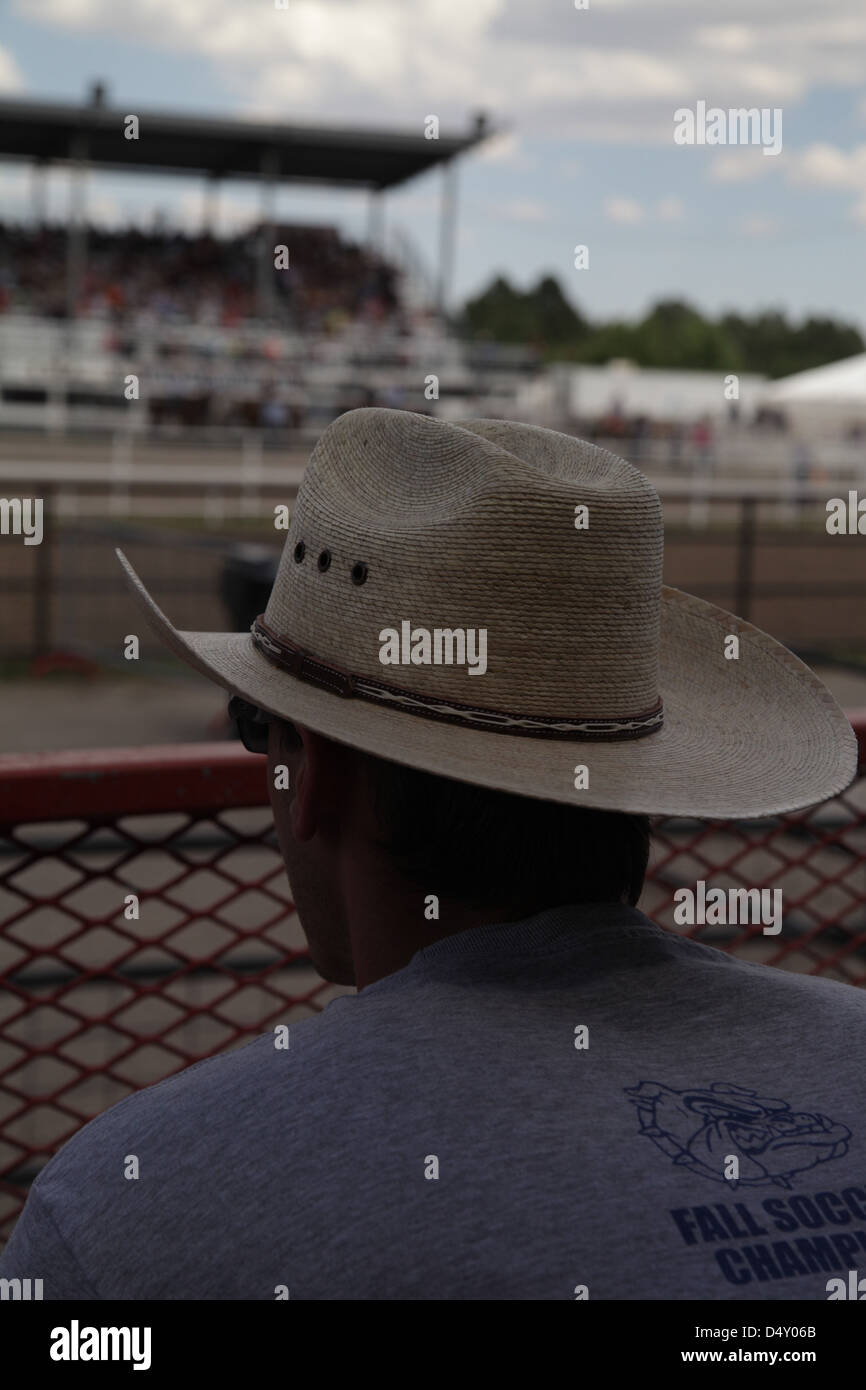 Cowboy at rodeo in Cheyenne Stock Photo - Alamy