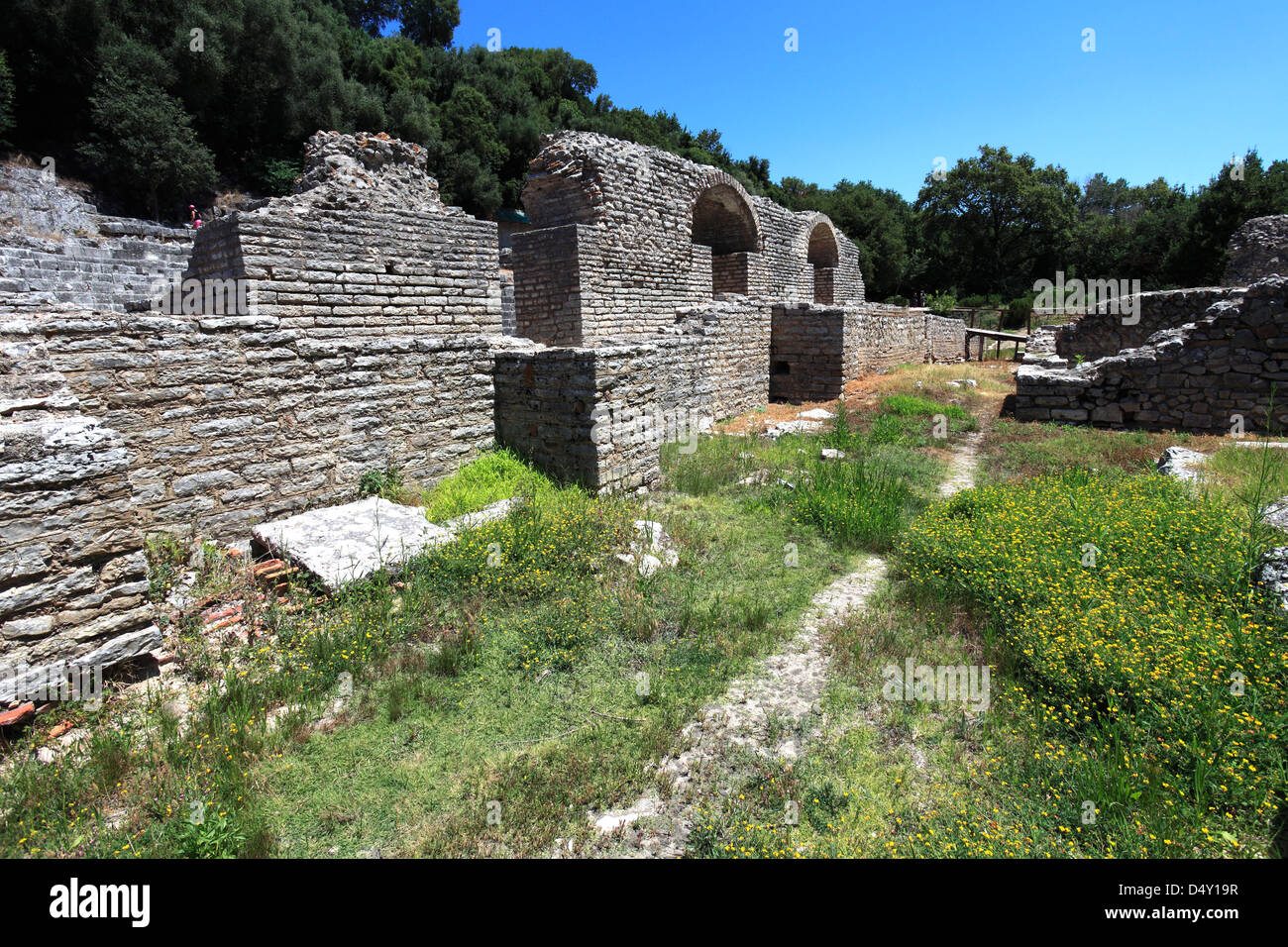 Ruins of the Roman Colony buildings, ancient Butrint, UNESCO World ...