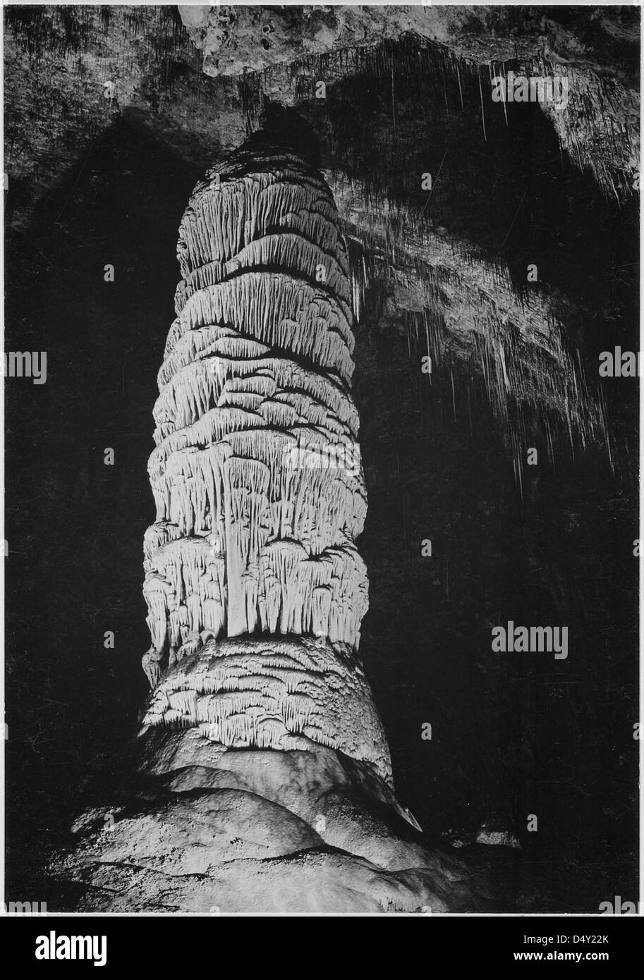 A vertical photograph of the large formations in the 'Hall of the ...