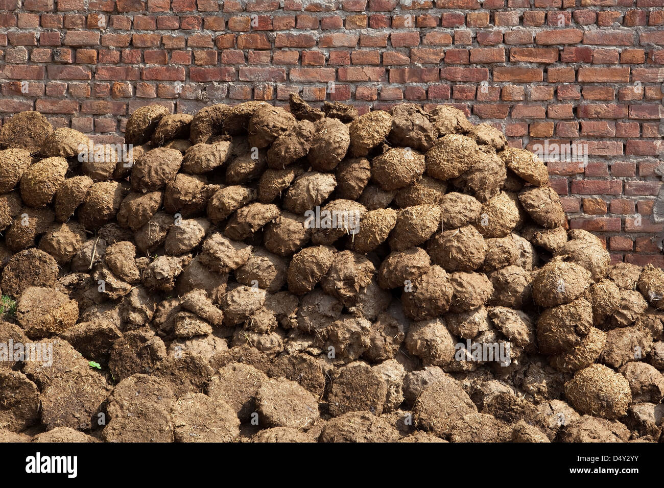 Dried dung fuel india hi-res stock photography and images - Alamy