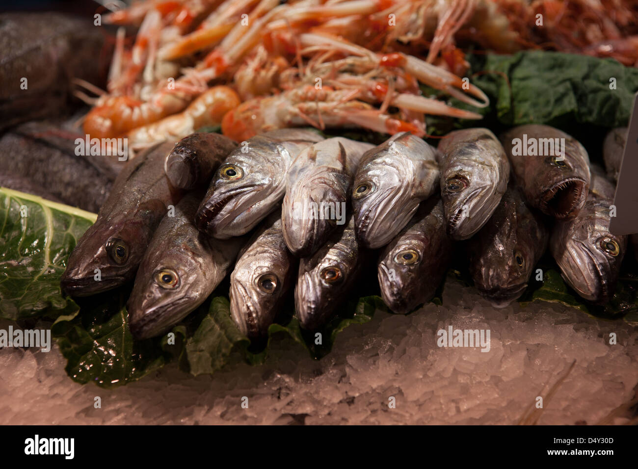 A range of fish displayed at the excellent Poblenou Market, Barcelona ...