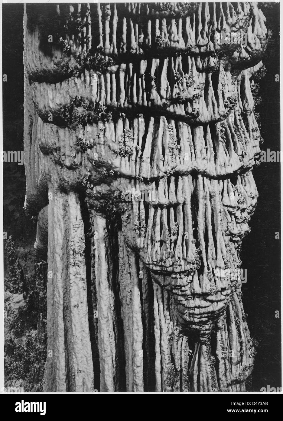 This black-and-white photograph by Ansel Adams shows a detailed view of ...