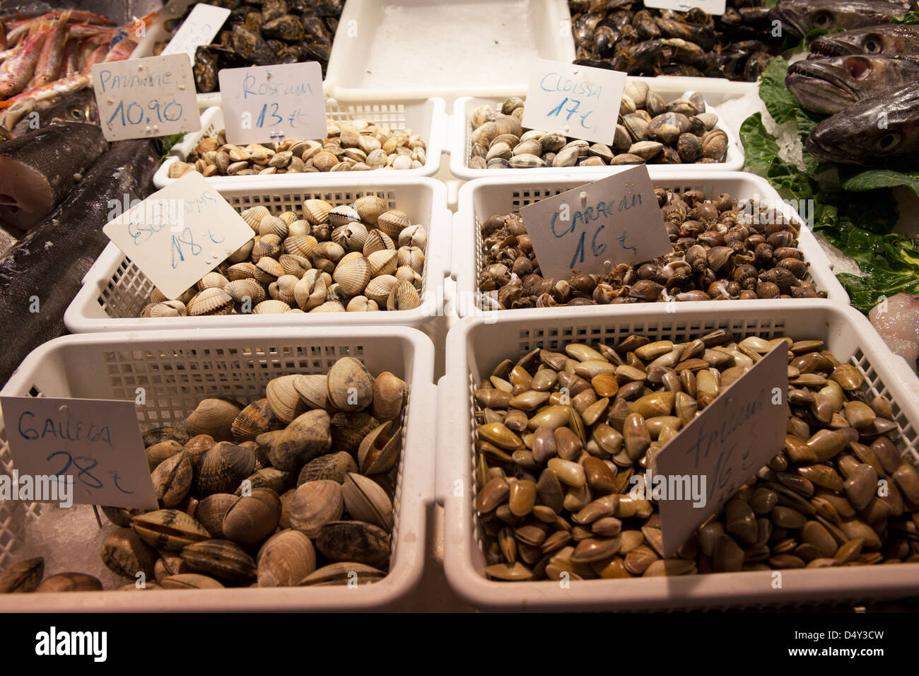 A range of shell fish displayed at the excellent Poblenou Market ...