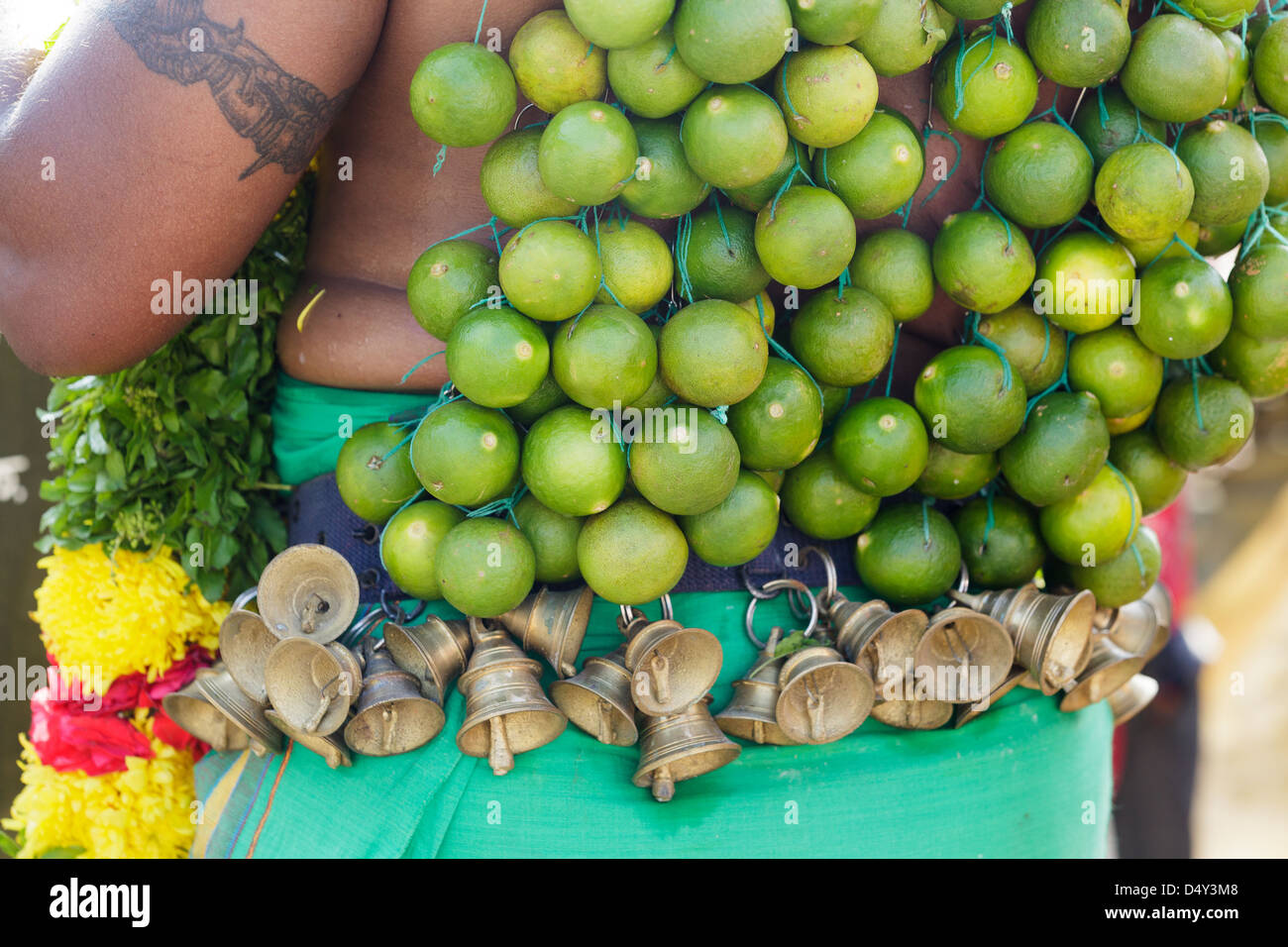 Lemon bells hi-res stock photography and images - Alamy