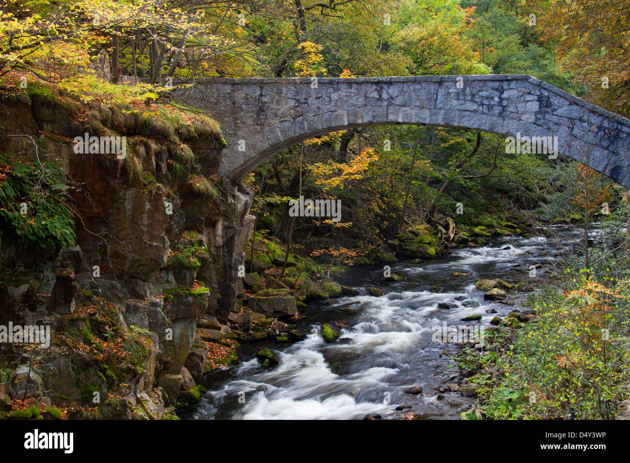 Jungfernbrücke / Virgins Bridge, Bode river, Bode valley, autumn ...