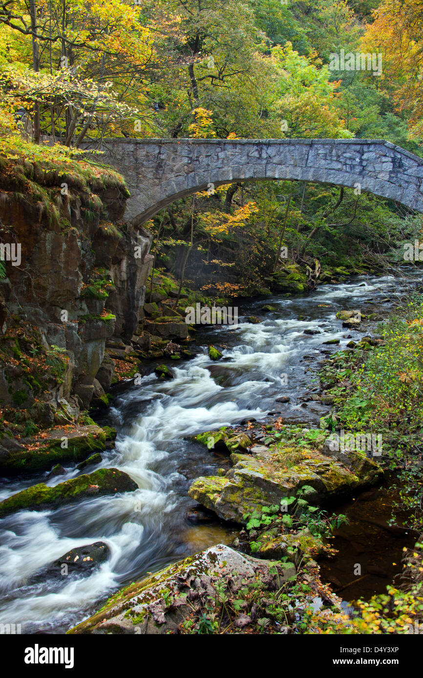 Jungfernbrücke / Virgins Bridge, Bode river, Bode valley, autumn ...