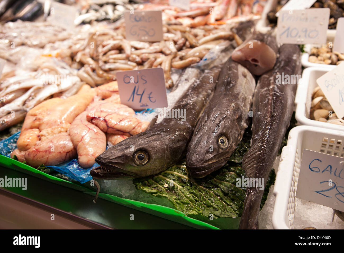 A range of fish displayed at the excellent Poblenou Market, Barcelona ...
