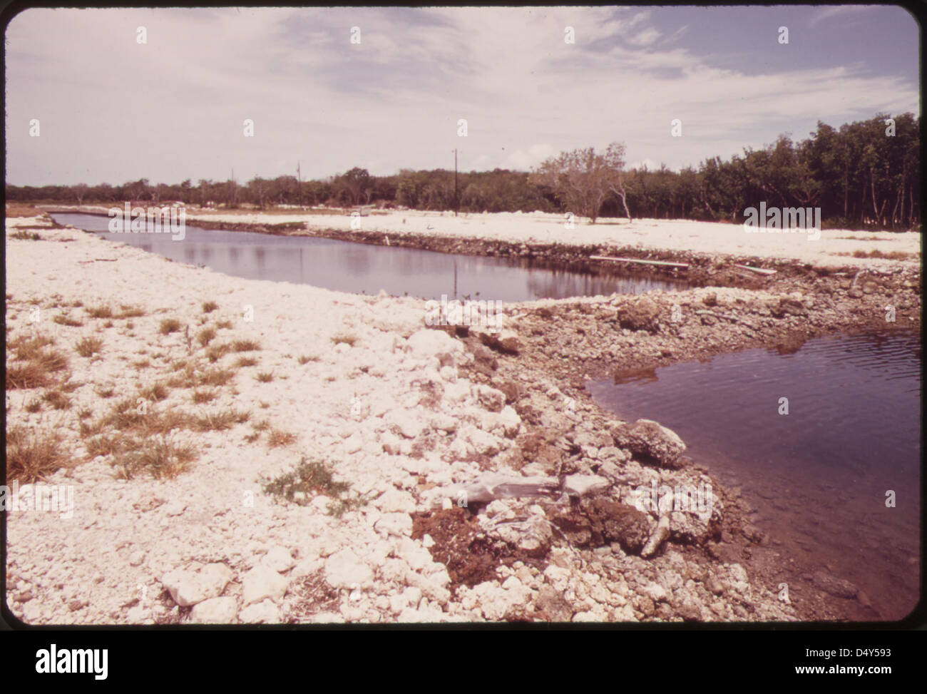 A photo of land development in Key Largo, Florida, shows canal ...