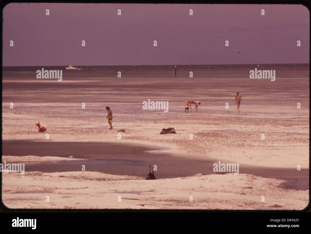 A group of swimmers is captured enjoying a beach in Marathon, Florida ...