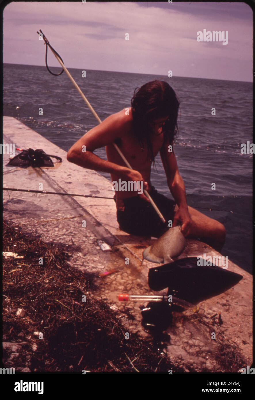A photograph showing a spear fisherman with his catch at Spanish Harbor ...