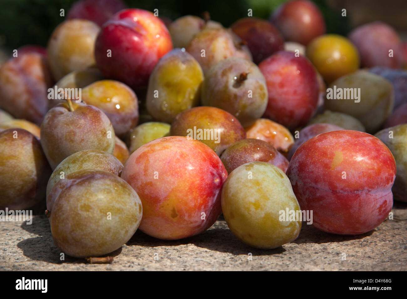 Market south africa fruit hi-res stock photography and images - Alamy