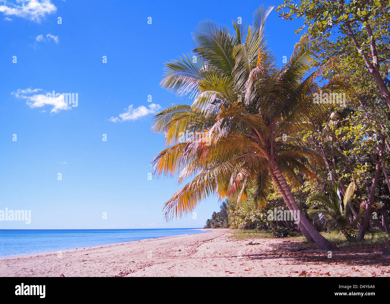 midday from beach of Puerto Rico Stock Photo - Alamy