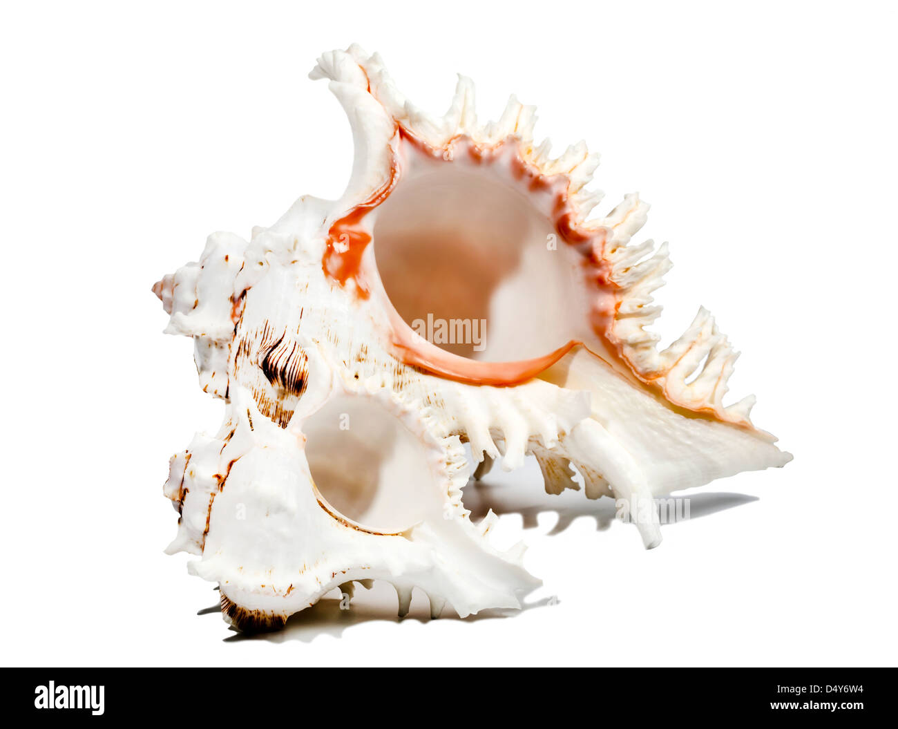 Ocean beauty nobody detail Cut Out Stock Images & Pictures - Alamy