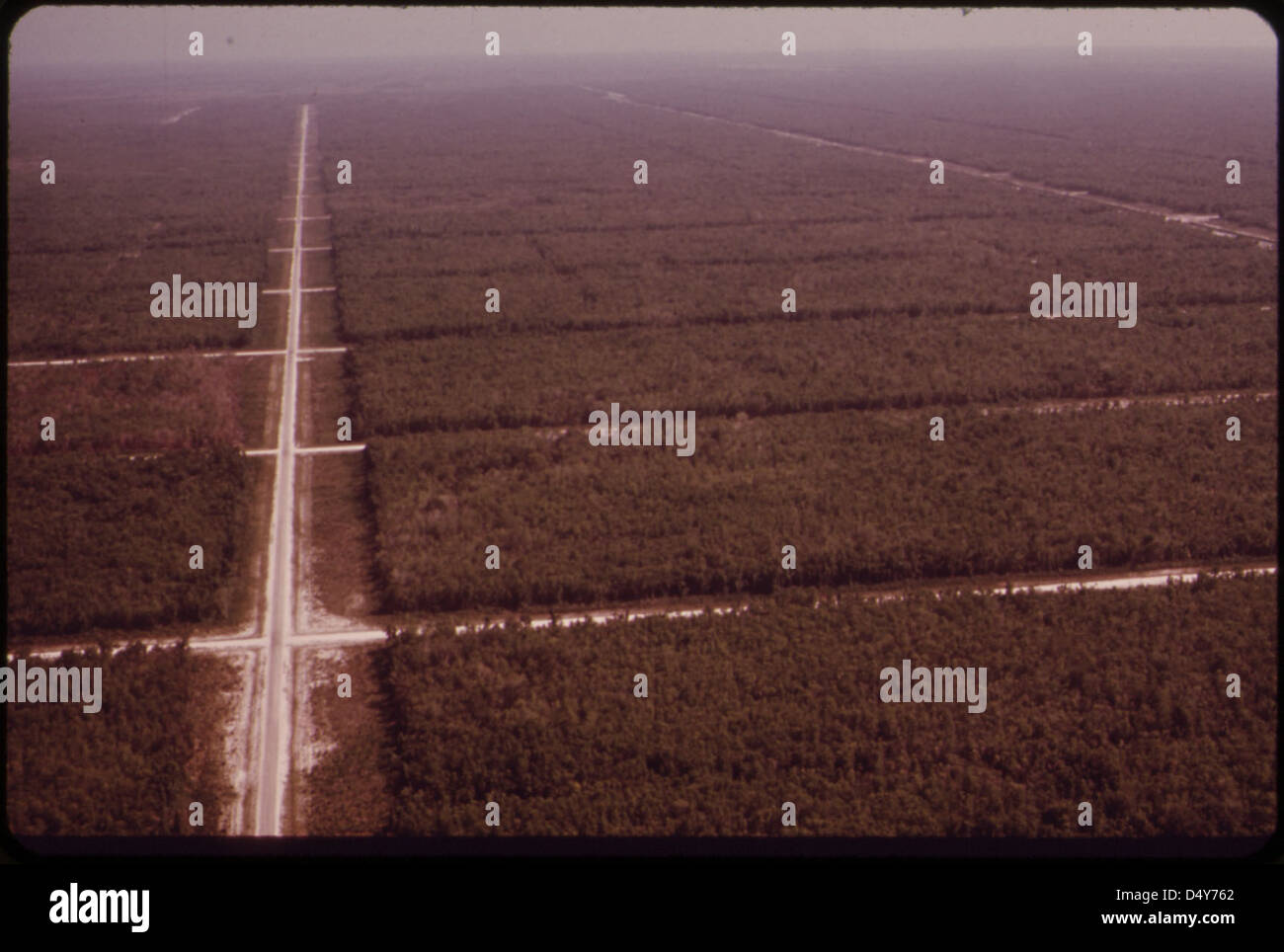 Aerial photo showing drainage canals crisscrossing the Everglades in ...