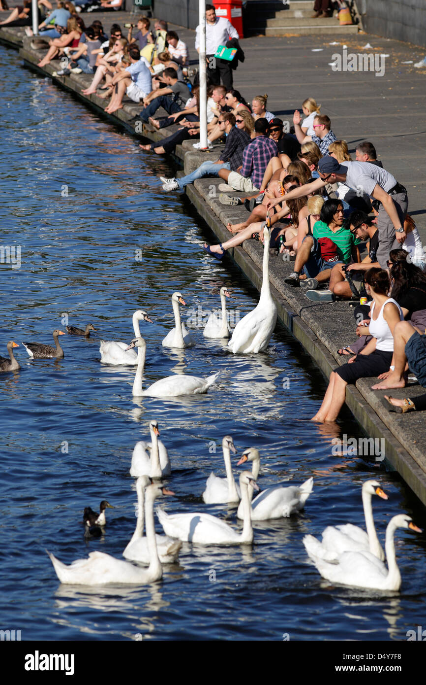 Hamburg, Germany, people sitting on the banks of the Alster Stock Photo ...