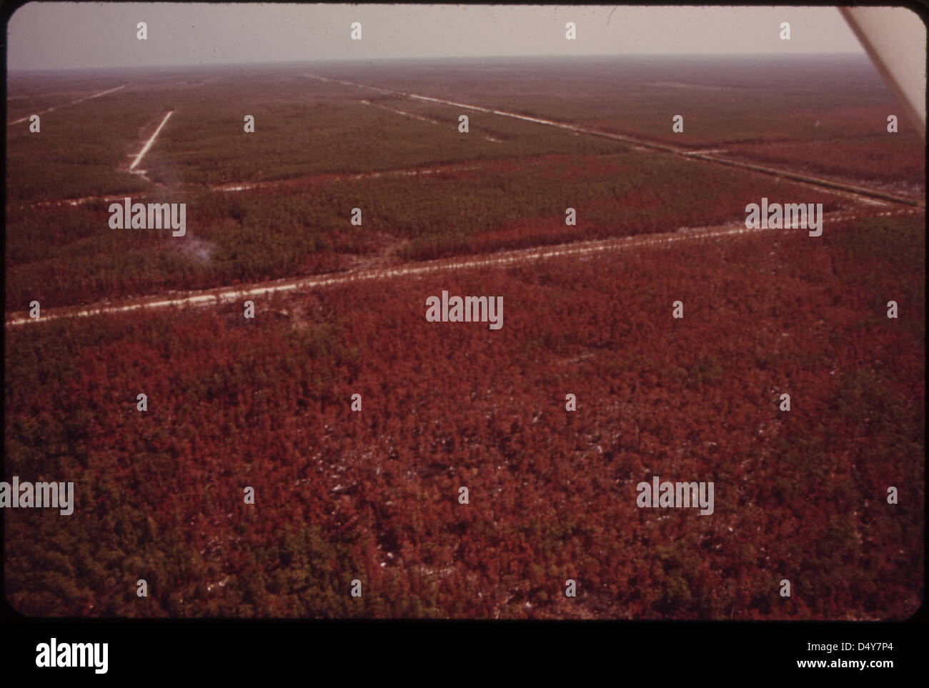 Florida aerial 1973 hi-res stock photography and images - Alamy