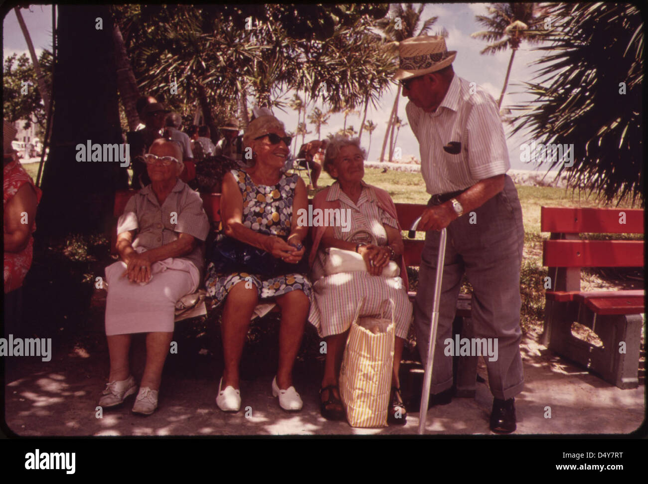 Park Benches of the South Beach Area of Miami Beach Are Favorite ...